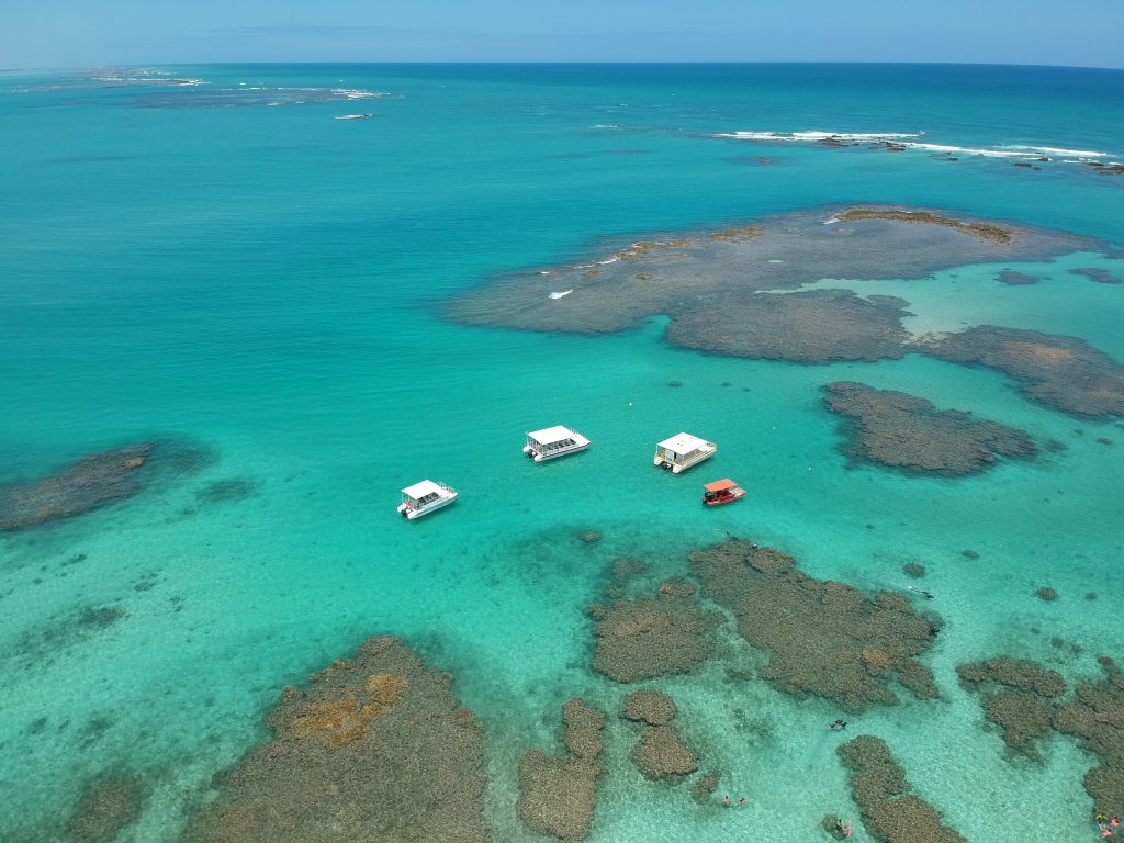 Maragogi se destaca no Nordeste com suas piscinas naturais – Enjoy Trip